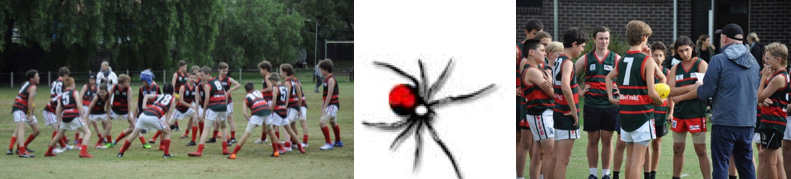 Physioworks Health Group & the Ashy Redbacks – a winning community team ...